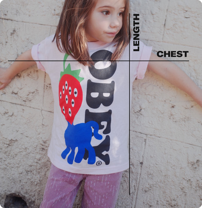 KIDS OBEY STRAWBERRY T-SHIRT – OBEY CLOTHING